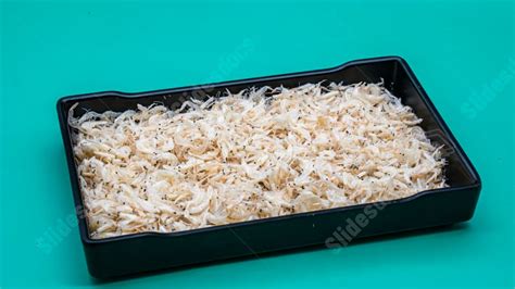 Food Ingredients Skin Box Seafood Powerpoint Background For Free