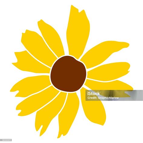 흰색 배경에 격리 된 헬리오시스 꽃 벡터 색상 그림을 엽니 다 벡터 스케치 스타일 상단 보기 야생의 손 그림 헬리오시스 거짓 해바라기 단일 객체에 대한 스톡 벡터 아트 및