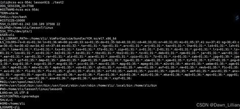 【linux】环境变量 linux如何设置环境变量的存放位置信息 csdn博客