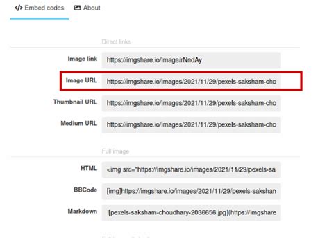 How To Find Someone S IP Address PureVPN