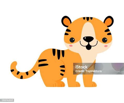 오렌지 모피 벡터 일러스트와 귀여운 작은 줄무늬 호랑이 새끼 개념에 대한 스톡 벡터 아트 및 기타 이미지 개념 고양잇과 귀여운 Istock