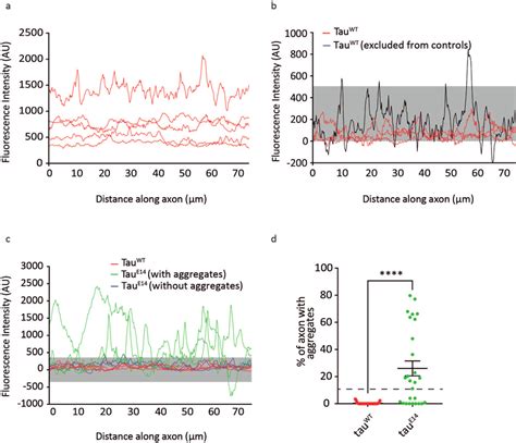 Figure S1 Aggregation Analysis To Analyse Aggregate Formation A Download Scientific