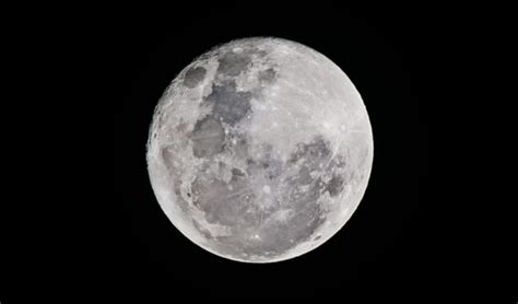 Webmind Нов поглед кон иднината Webmind