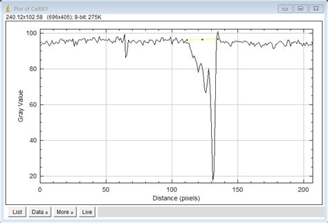 Imagej How To Get “real” Xy Coordinates On A Plot Profile