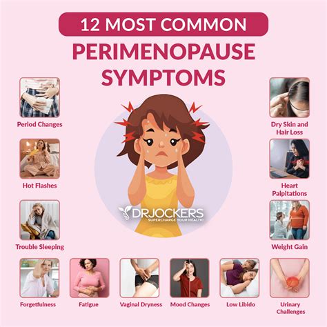 Best 14 Perimenopause Common Symptoms And Natural Solutions Artofit