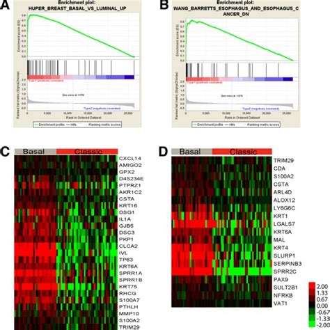 Gsea Gene Sets And Relative Expression Heatmap A Gsea Enrichment Plot