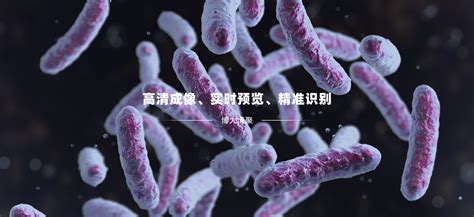 微生物计数仪 藻类细胞计数仪 实时活细胞成像仪 广州博大博聚科技有限公司