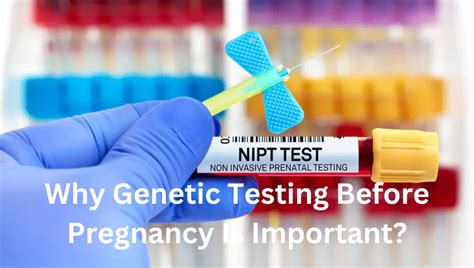 Genetic Testing Before Pregnancy Pregnancy Boss