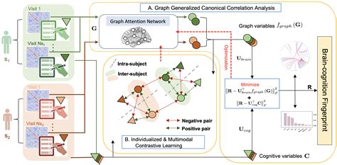 Brain Cognition Fingerprinting Via Graph Gcca With Contrastive Learning