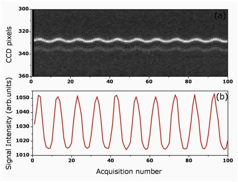 A Plot Of The Temporal Behaviour Of The Raman Spectra As The Raman