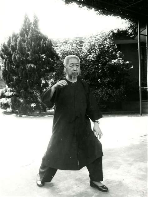 Chengzi Taichi Chuan Le Taichi Cheng Man Ching Ffaemc