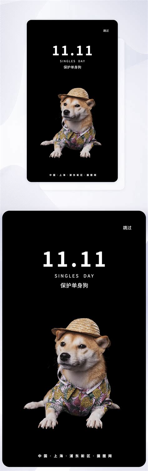 싱글 앱 스플래시 화면 Ui 가이드 페이지 이미지 사진 401651471 무료 다운로드