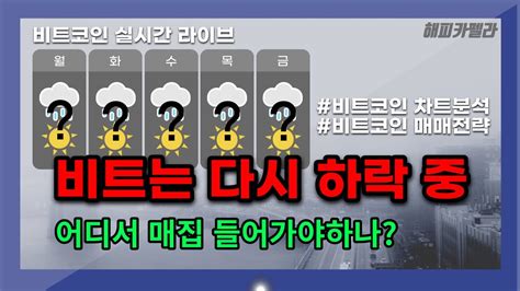 비트코인 실시간 비트는 다시 하락 중 어디서 매집 들어가야하나 1213 점심💎 비트코인 비트코인실시간 이더리움 리플 Cryptocurrency 차트분석