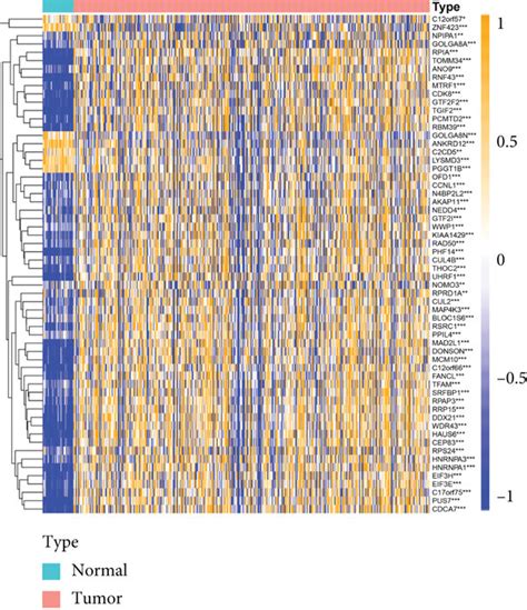 Landscape Of Genetic Variation Of M⁶a Related Exosome Gene In Colon
