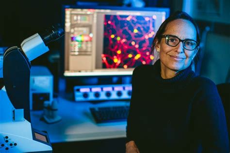 Katie Ladykatie Twitter