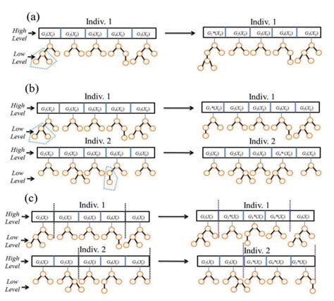 Example Of Multi Gene Genetic Programming Recombination Operators Download Scientific Diagram