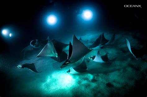 Efficient Data Movement Solutions For Geospatial Projects