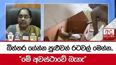 බිත්තර ගේන්න පුළුවන් රටවල් මෙන්න මේ අවස්ථාවේ බැහැ Youtube