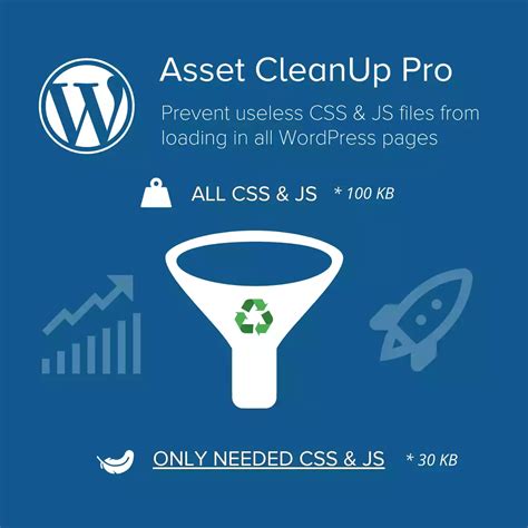 Asset Cleanup Pro Best It Scholars