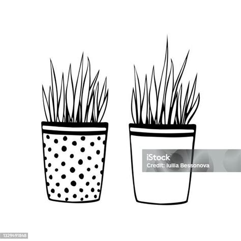장식 잔디 식물화 화분 손으로 그린 간단한 검은 윤곽 벡터 일러스트 만화 낙서 스타일 고립 디자인 요소 장식용 클립 아트 색칠 페이지 검은색에 대한 스톡 벡터 아트 및 기타