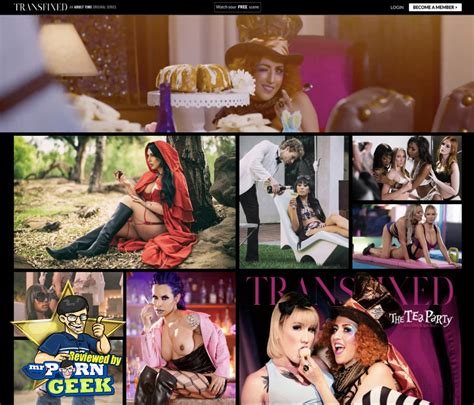 Transfixed 1140 More Sites Like Transfixed Com