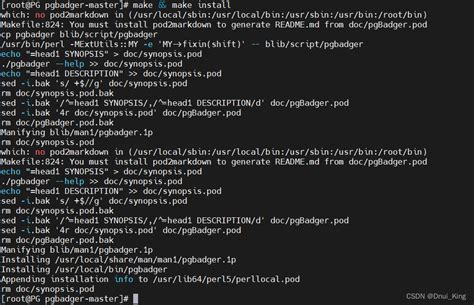 Postgre 调优工具pgbadger部署 Csdn博客