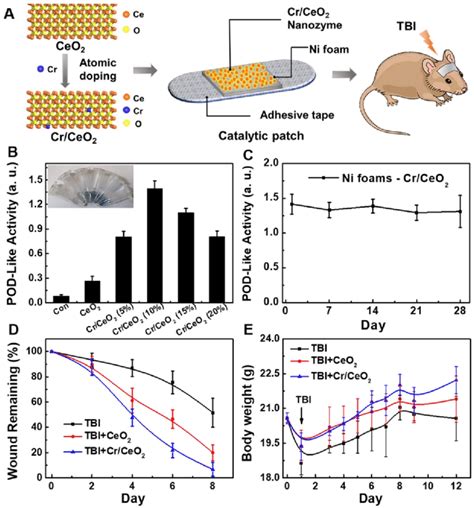 Design Of Nanozyme Patch And Tbi Treatment A Design Of Catalytic Download Scientific Diagram