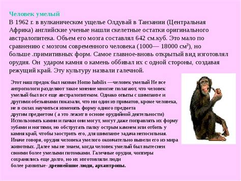 Эволюция человека 11 класс