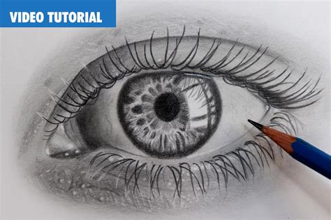 How To Draw A Hyper Realistic Eye Step By Step Beginner To Advanced Beginner