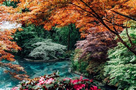 The Japanese Alps 2026 Expert Route Guide Itinerary Expert