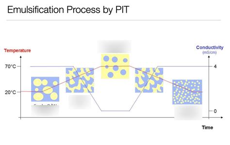 Diagram Of Phase Inversion Quizlet