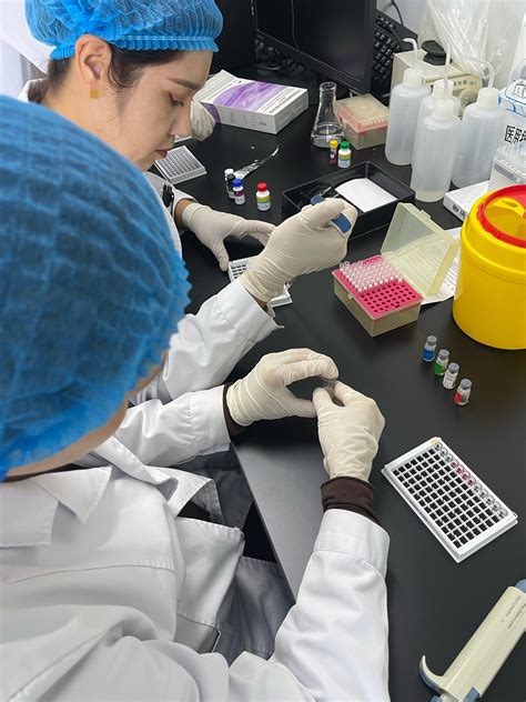 增强检测能力 提升检测质量温宿县疾控中心举办艾滋病检测点检测技术培训班 改革网