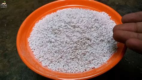 A Mastering Guide On How To Use Perlite For Plants Do And Donts Added