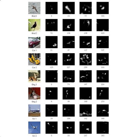 Examples Of Several Images Sampled From Four Datasets 26 28 Evaluated