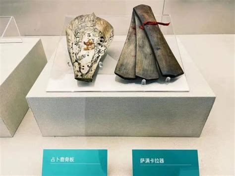 走进长春网红打卡地梅花鹿博物馆 澎湃号政务 澎湃新闻 The Paper