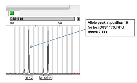 Interpreting Str Profiles Culture Collections