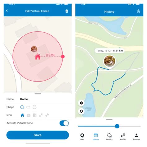 Microchips Vs Gps Trackers The Purrington Post