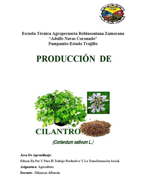 Proyecto Cilantro Pdf Cilantro Aprendizaje