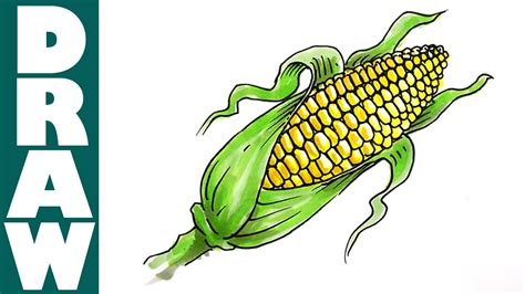 Corn Cob Drawing At GetDrawings Free Download