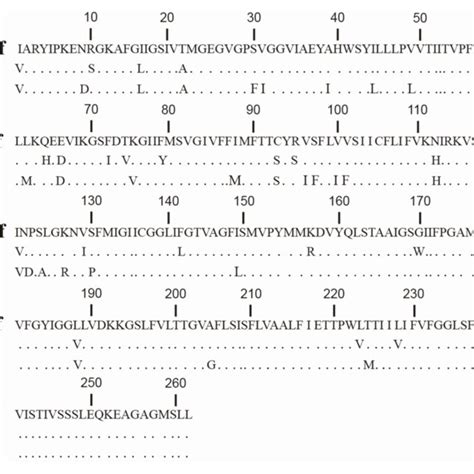 Partial Amino Acid Sequence Of Tet45 Amino Acid Sequence Alignment Download Scientific