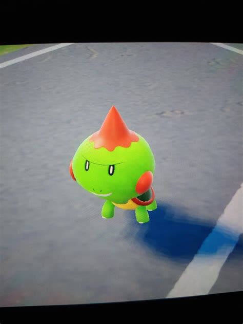 Shiny Chewtle R Pokemonscarletviolet