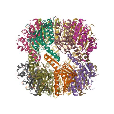 Rcsb Pdb 3p2l Crystal Structure Of Atp Dependent Clp Protease Subunit P From Francisella