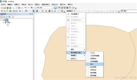 【arcgis微课1000例】0121：面状数据共享边的修改方法