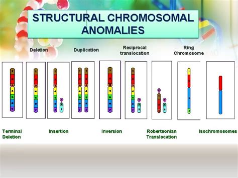 Medical Genetics Lecture 2 Chromosome Anomalies Muhammad Faiyazulhaque
