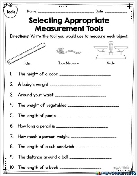 Selecting Appropriate Measurement Tool 1 Worksheet In 2025