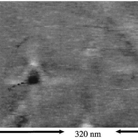 Noncontact Atomic Force Microscope Image Of An Octene Monolayer On Si Download Scientific