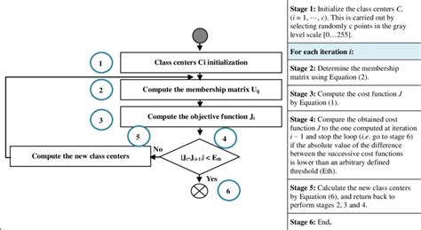 Standard Classification C Means Stages Download Scientific Diagram