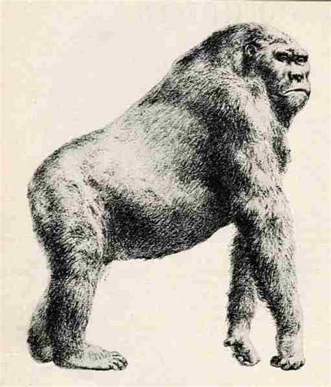 Est 1994 Gigantopithecus Blacki