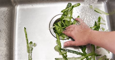 What You Can And Cannot Put Down Your Garbage Disposal 1 Tom Plumber