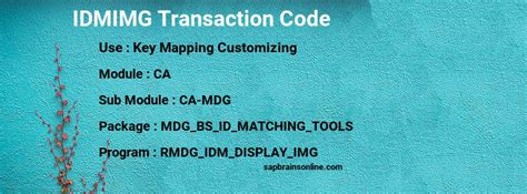 IDMIMG SAP Tcode For Key Mapping Customizing